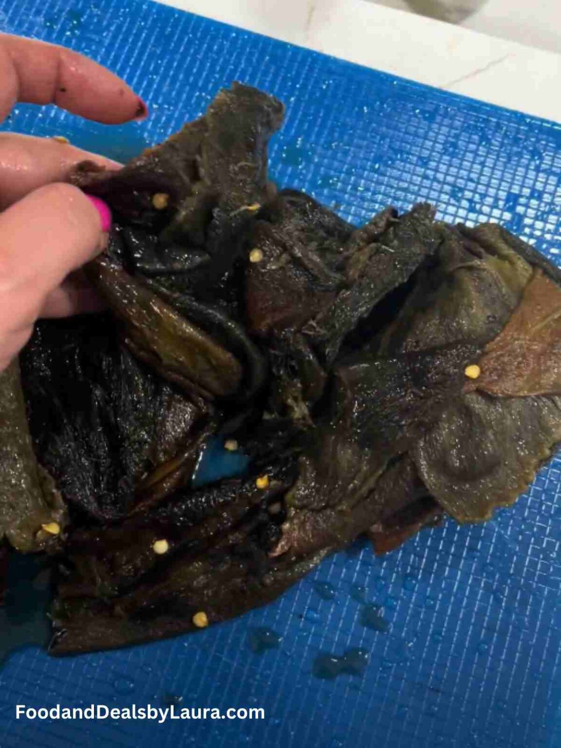 Authentic Chile Pasado con Queso Recipe from Northern Mexico